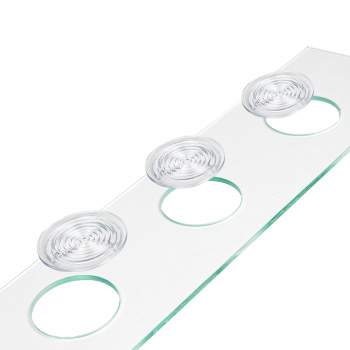 ANTSTORE - Ameisenshop - Ameisen kaufen - Antshop - start page ...