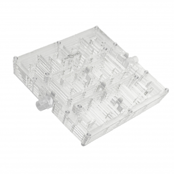 ANTSTORE - Ameisenshop - Ameisen kaufen - Ant Maze 20x20 - L