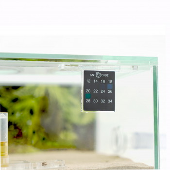 ANTSTORE - Ameisenshop - Ameisen kaufen - Antshop - start page ...