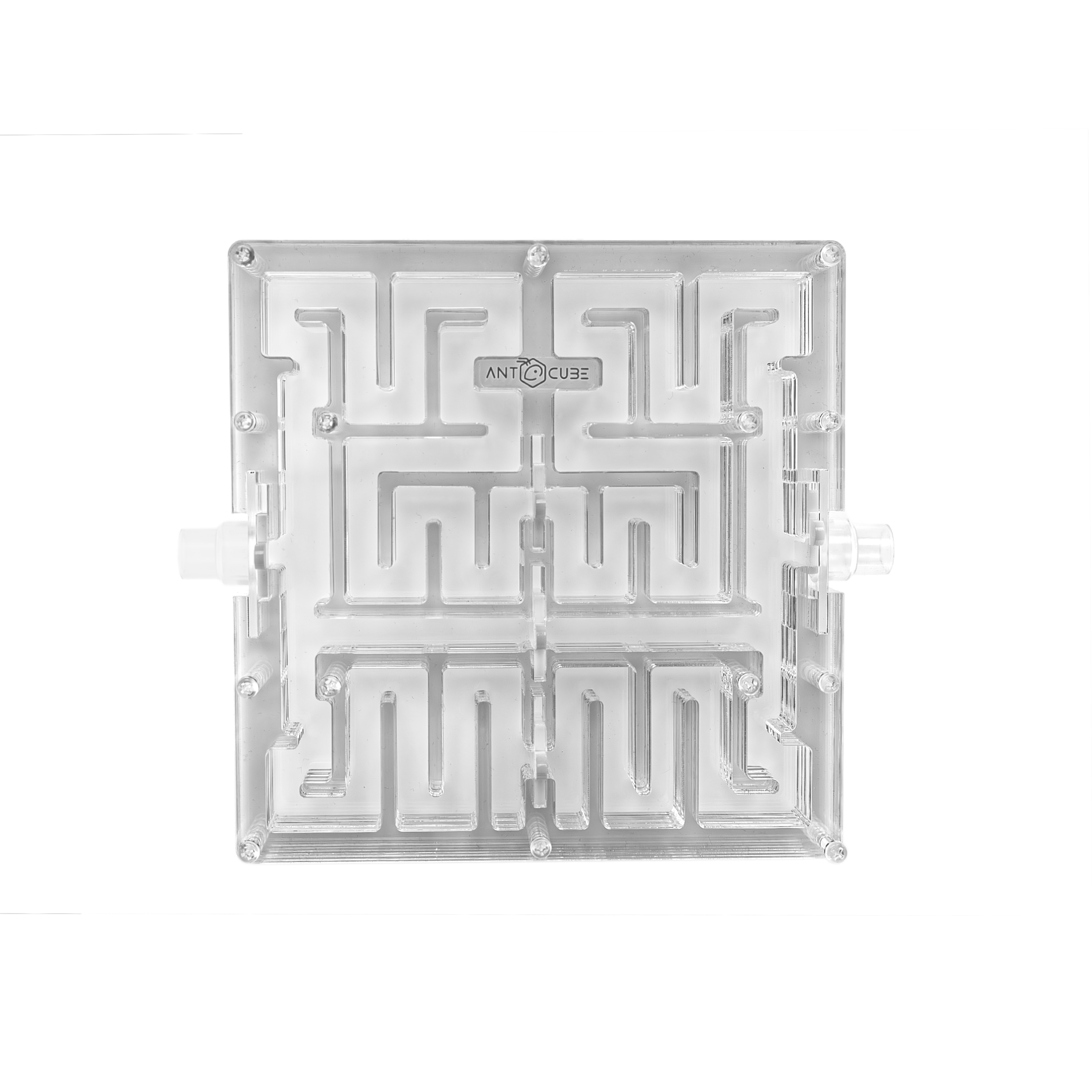 ANTSTORE - Ameisenshop - Ameisen kaufen - Ant Maze 20x20 - L
