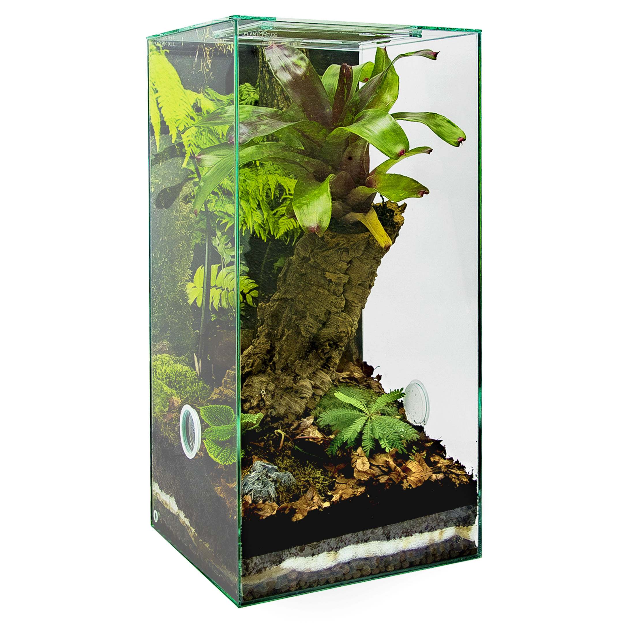 vivarium
