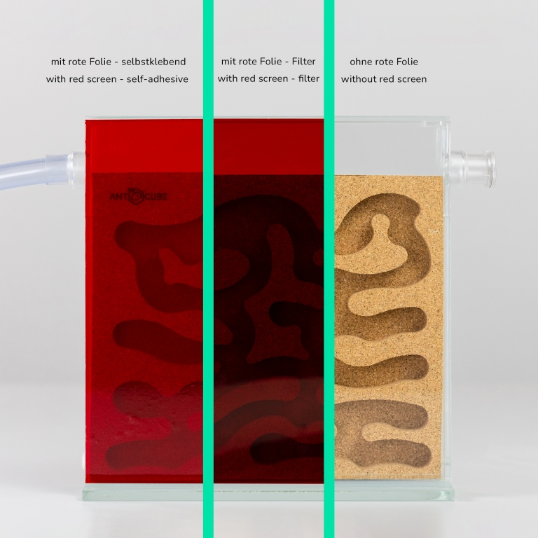 ANTSTORE - Ameisenshop - Ameisen kaufen - ANTCUBE - Rote Folie 10x10 ...